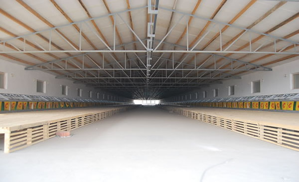 Layer house design and raising chicken equipment and utensils - Poultry ...